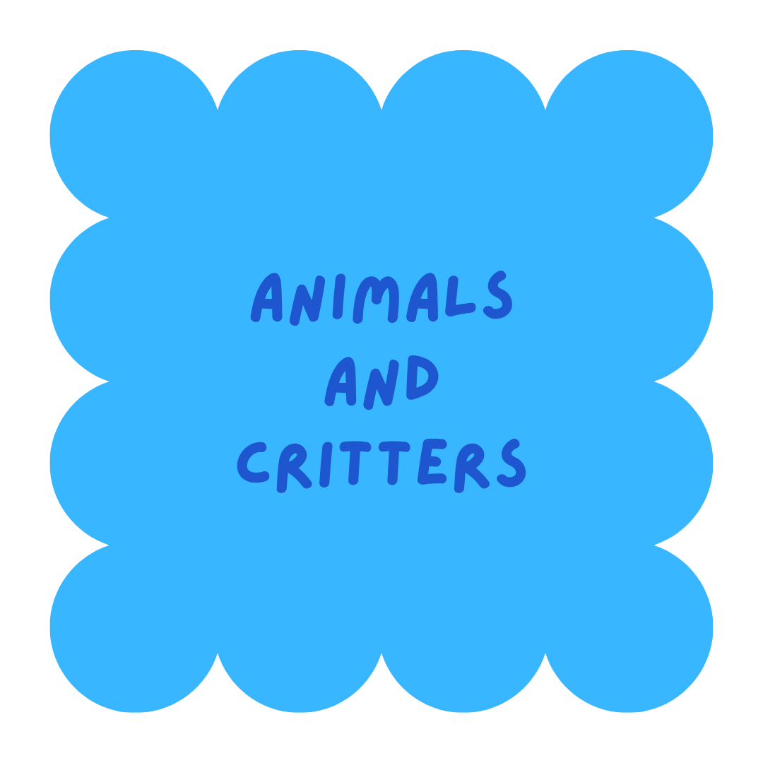 Animals - Land, Air and Sea Laser Blanks for Jewellery Making – Crafty ...